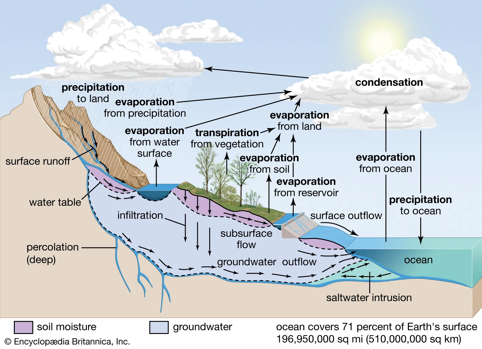 Ground-(water)-breaking research in Somalia – A way to combat the droughts - MoreSomalia