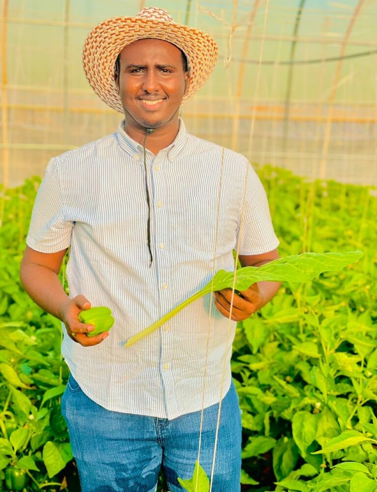 Agriculture in Somalia – A portrait of a Somali Farmer - MoreSomalia