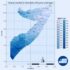 Maps - MoreSomalia